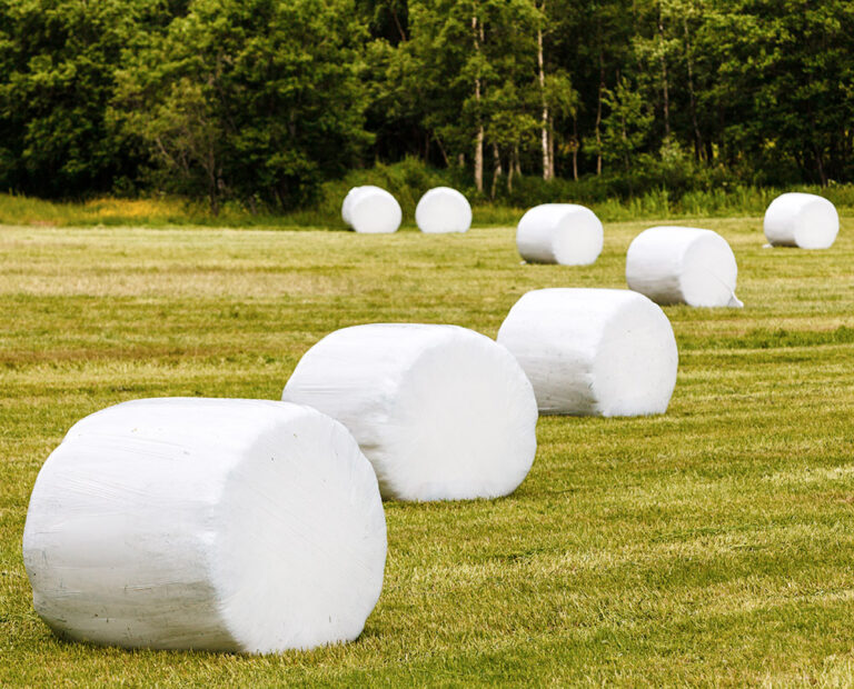 Bale Wrap – Frank Winne & Son, Inc